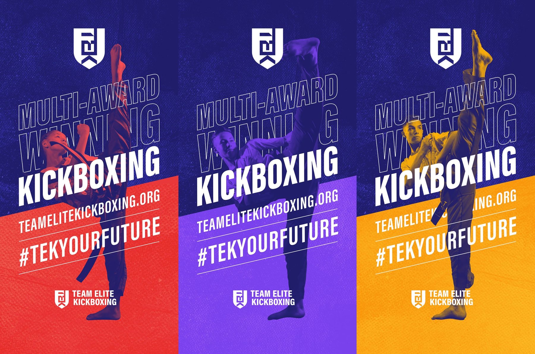 Team Elite Kickboxing | Case Study | Framework Design