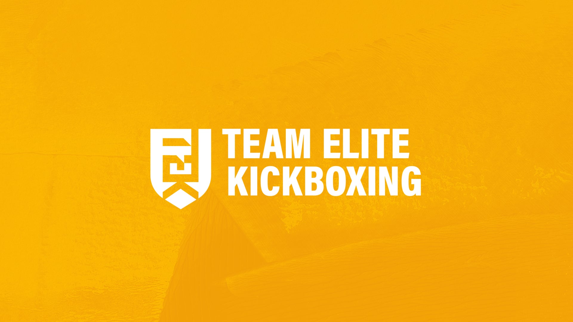 Team Elite Kickboxing | Case Study | Framework Design