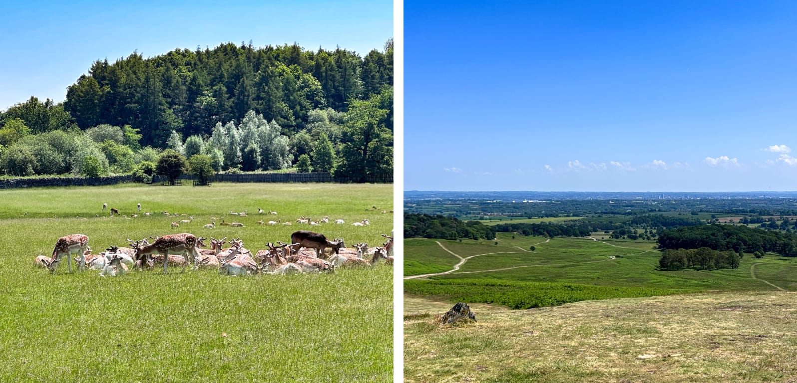 Geopark digital discovery. | Framework Design